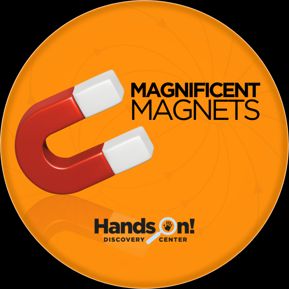 Hands On! Discovery Center and Gray Fossil Site